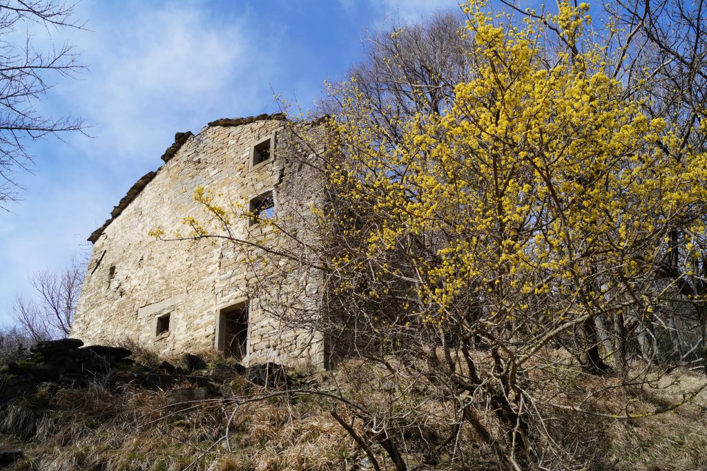 Le Galluzze - Popoli del Parco